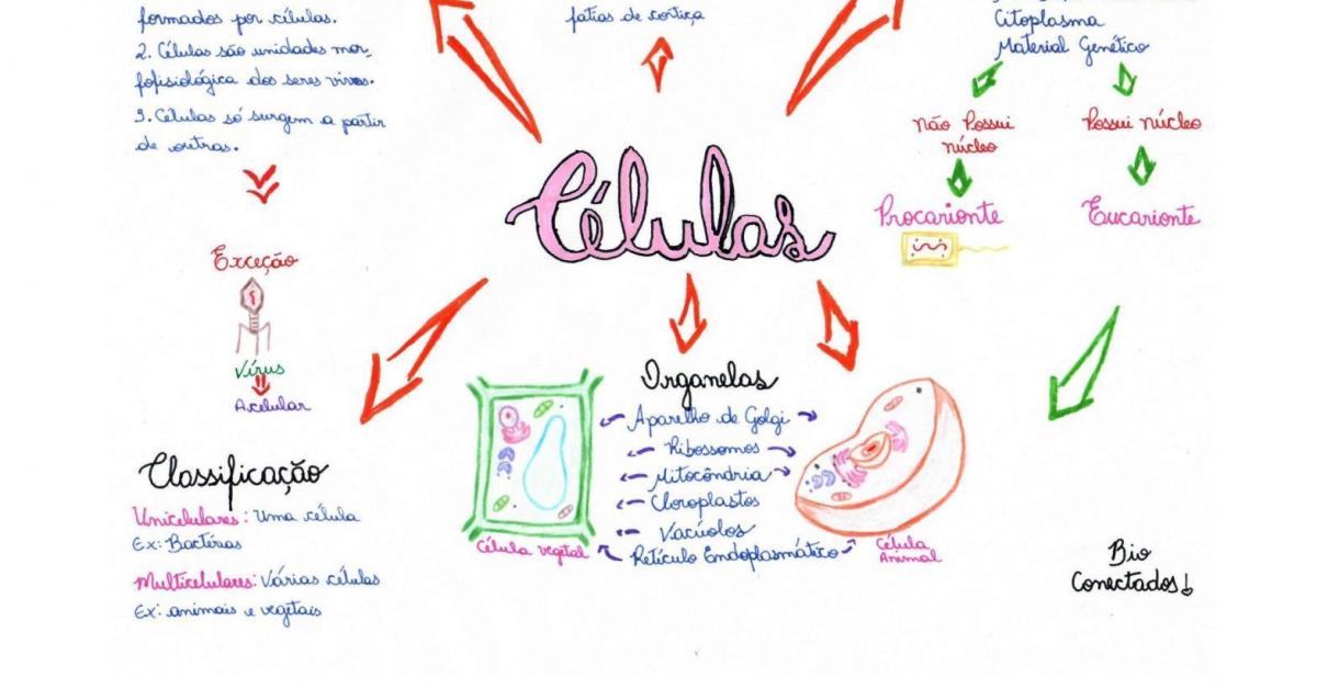 Bioconectados - Mapa mental sobre as células
