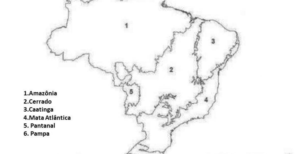Bioconectados - MAPA PARA COLORIR SOBRE OS BIOMAS BRASILEIROS
